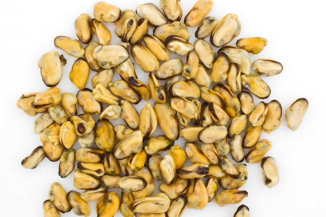 Chilean Mussel - FESBA