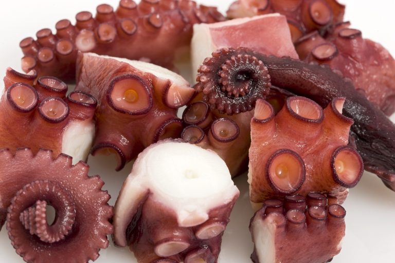 Cooked Octopus Sliced - FESBA