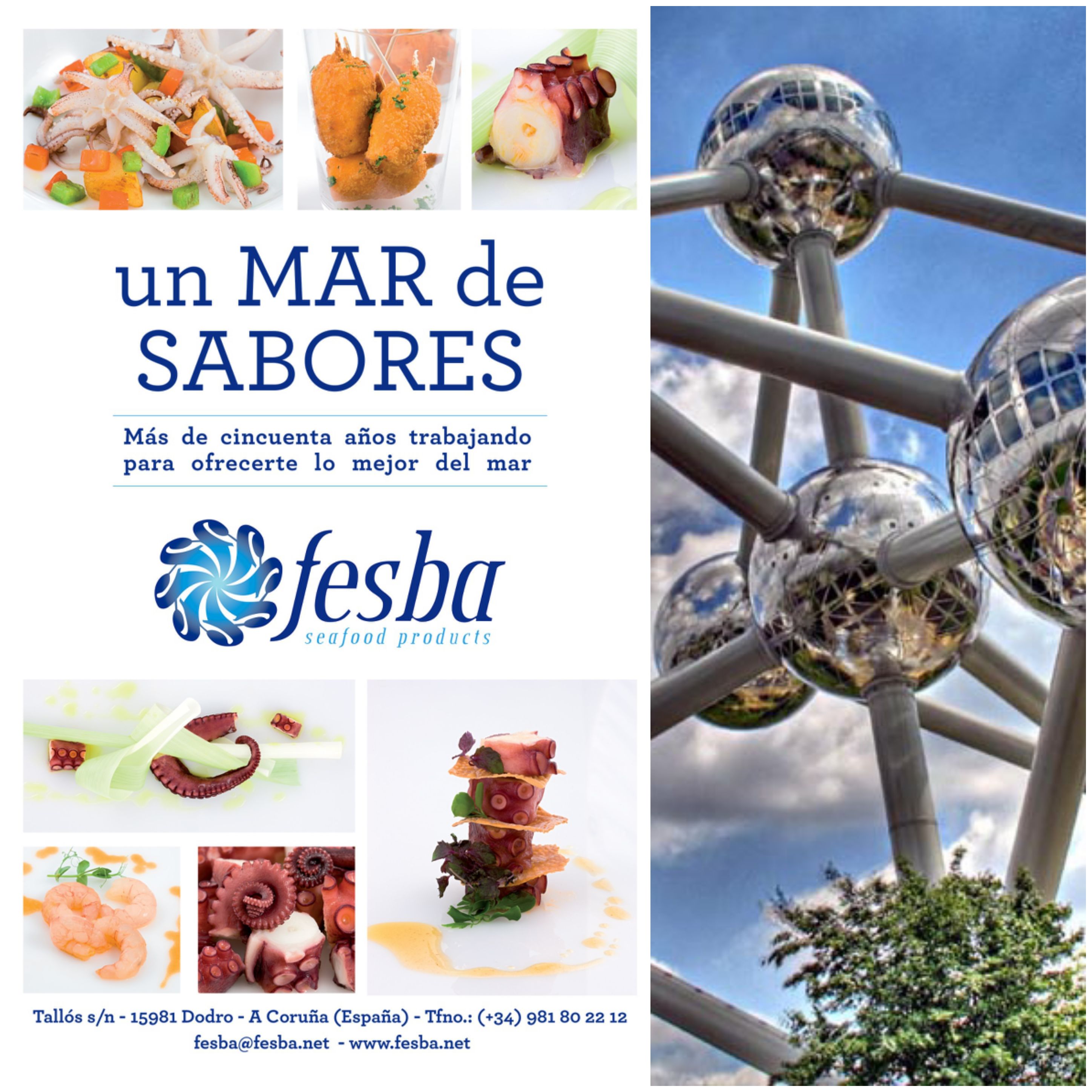 FESBA at BRUSSELS SEAFOOD EXPO GLOBAL 2019 - FESBA